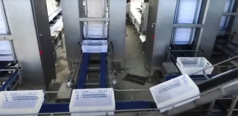 Foamico Australia & New Zealand | Hyjien